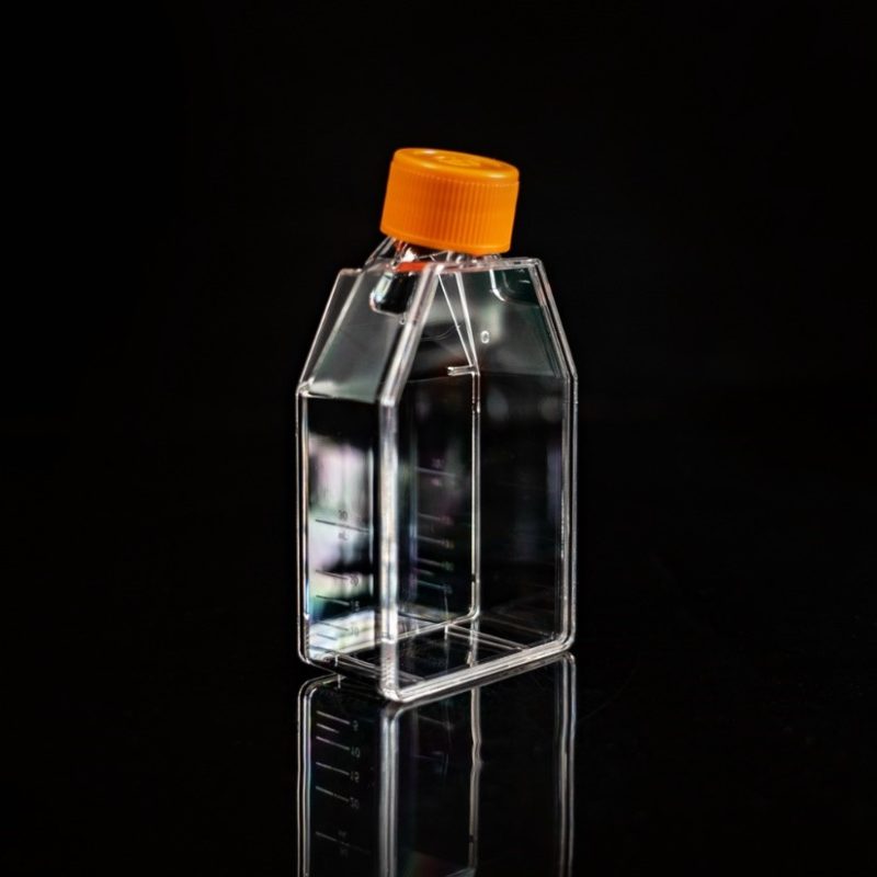 Cell Culture Flasks – Vented and Surface Treated (25 cm²) – Med Biosciences