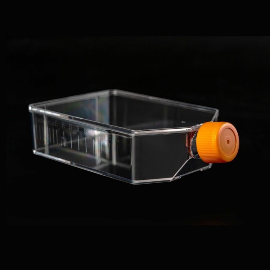 Cell Culture Flasks – Vented and Surface Treated (175 cm²) – Med ...