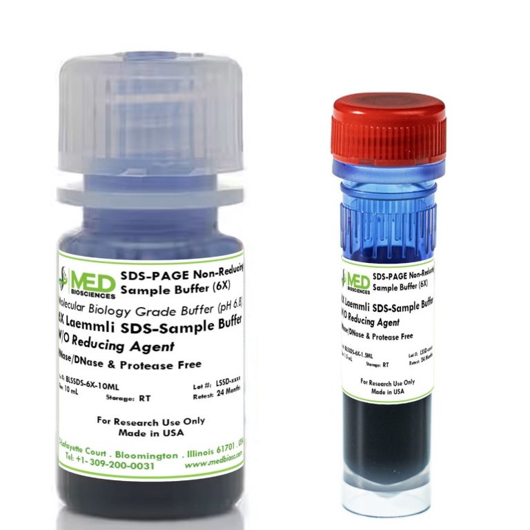 4X Laemmli SDS-Sample Buffer (+ Reducing Agent) – Med Biosciences