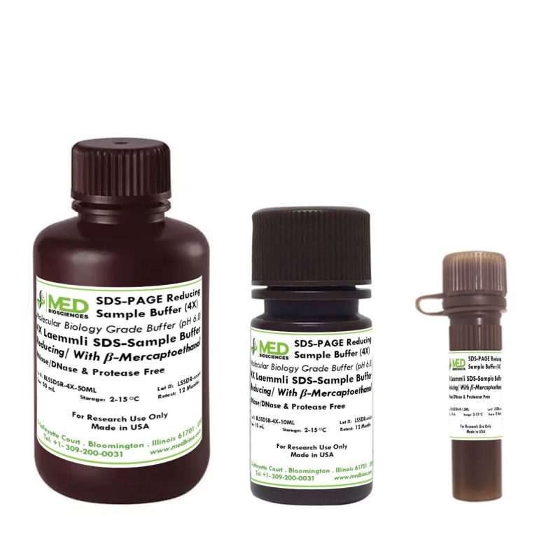 4X Laemmli SDS-Sample Buffer (+ Reducing Agent) – Med Biosciences