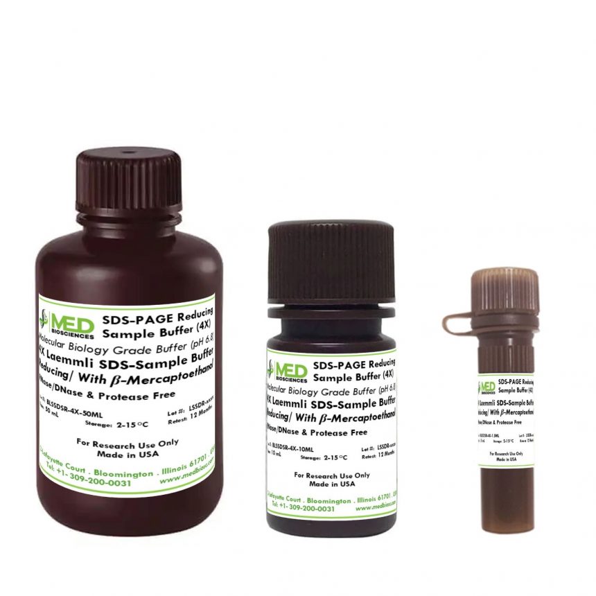 4X Laemmli SDS-Sample Buffer (+ Reducing Agent) – Med Biosciences